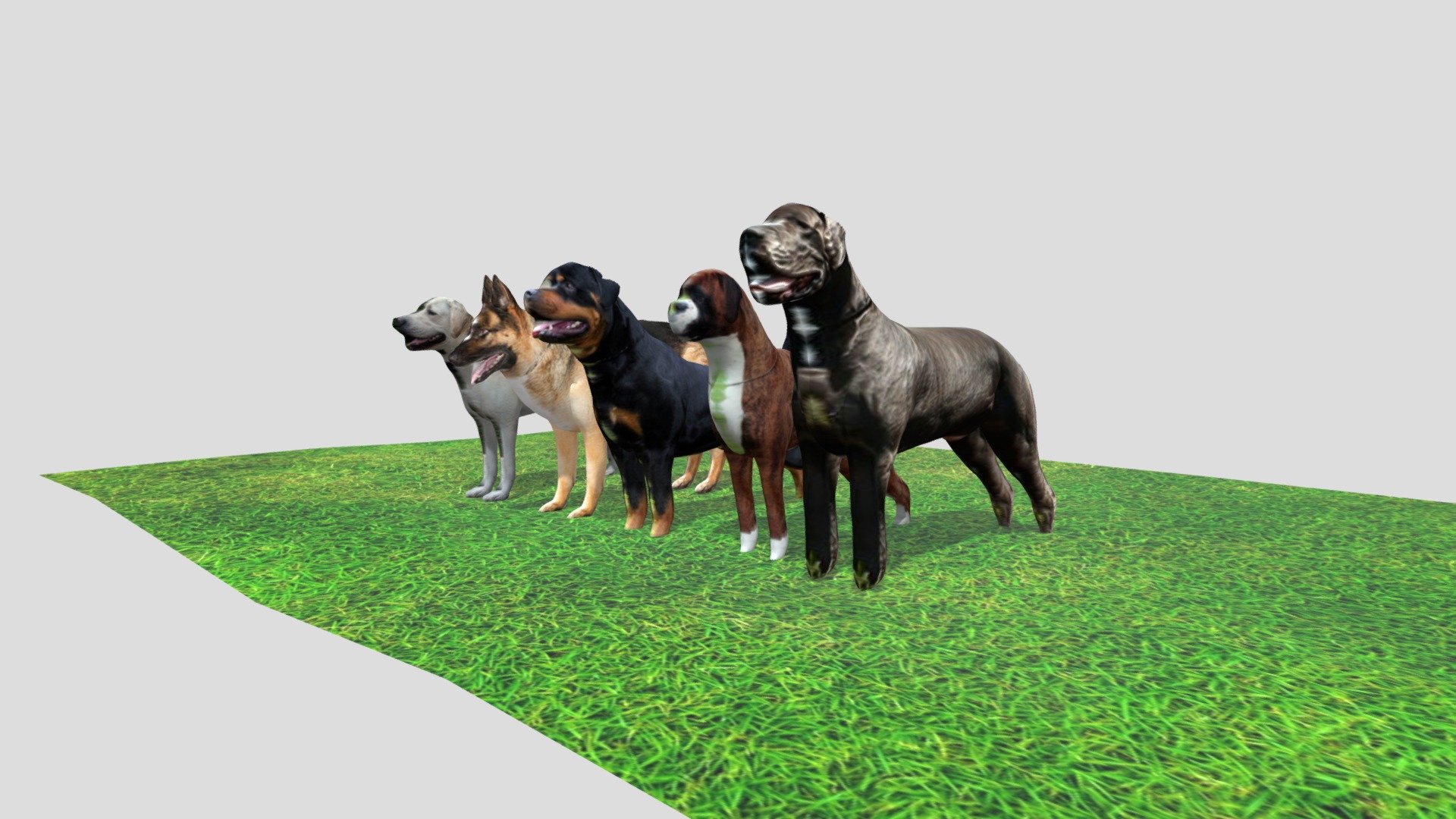 Lowpoly Dogs for background props - Download Free 3D model by ...