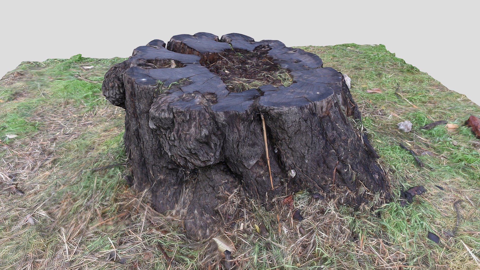 Stump 4 - Download Free 3D model by sv.stats [876499b] - Sketchfab