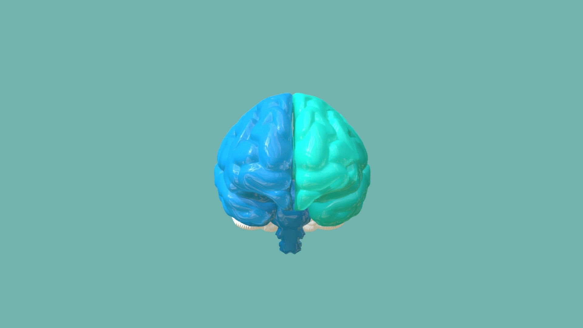 Brain - 3D model by pavankuamr [8769ce8] - Sketchfab