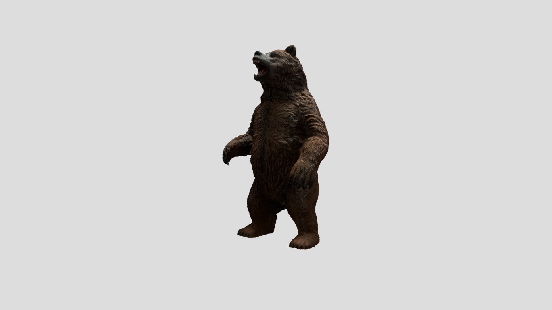 bear - Download Free 3D model by Cllli [876d2fd] - Sketchfab