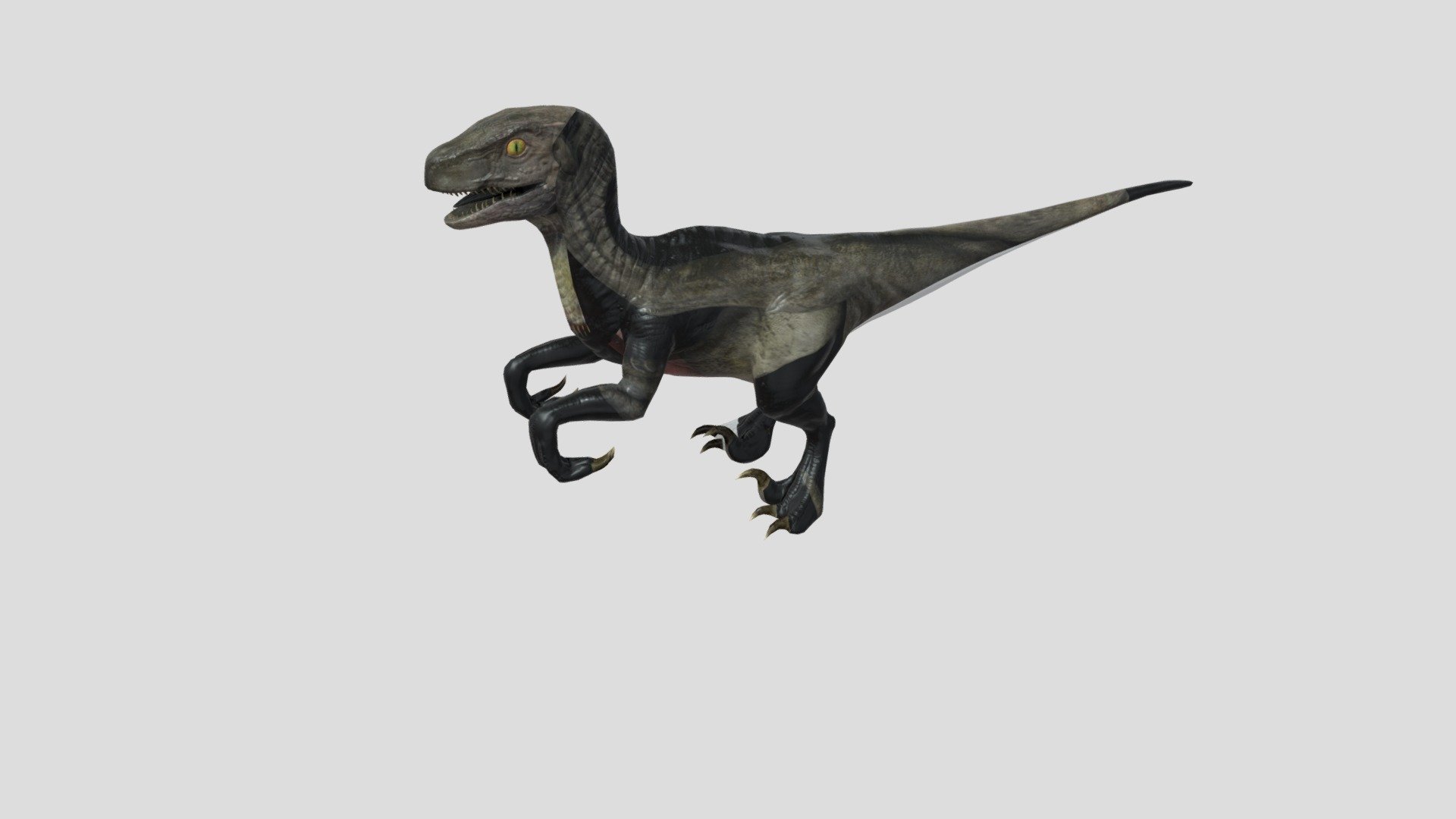 Tyrannoraptor - 3D model by vardastrings1987 [8776f68] - Sketchfab