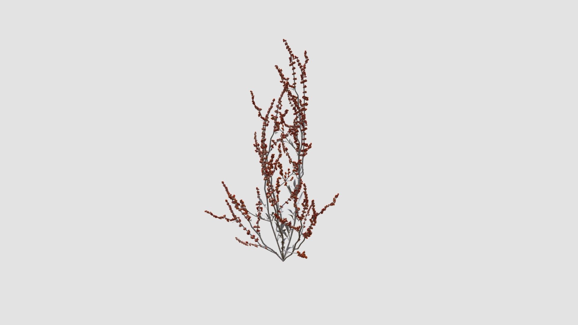 simple grass - Buy Royalty Free 3D model by Evermotion [877b40e ...