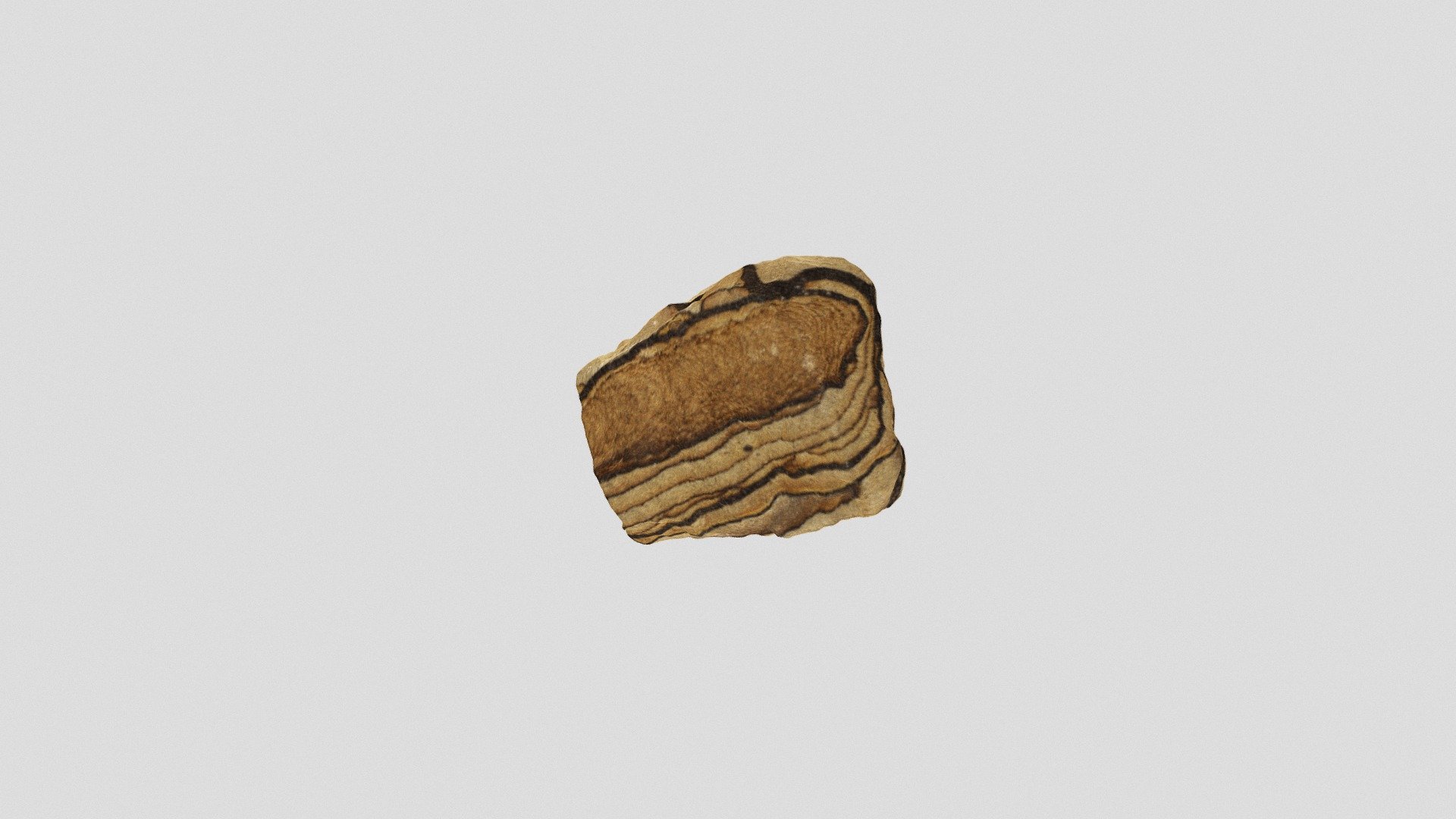 Sedimentary rock sample 13 - Download Free 3D model by UTSC DPES ...