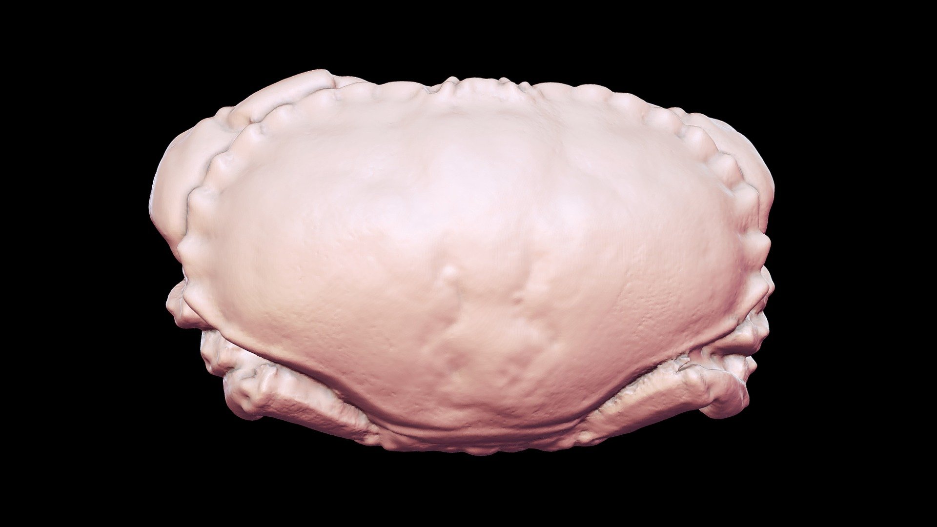 Crab - Revopoint Range review - Download Free 3D model by Benoît Rogez ...