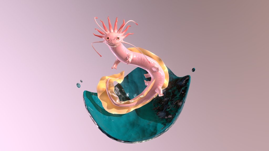 axolotl - A 3D model collection by lachlan.kersten1 - Sketchfab