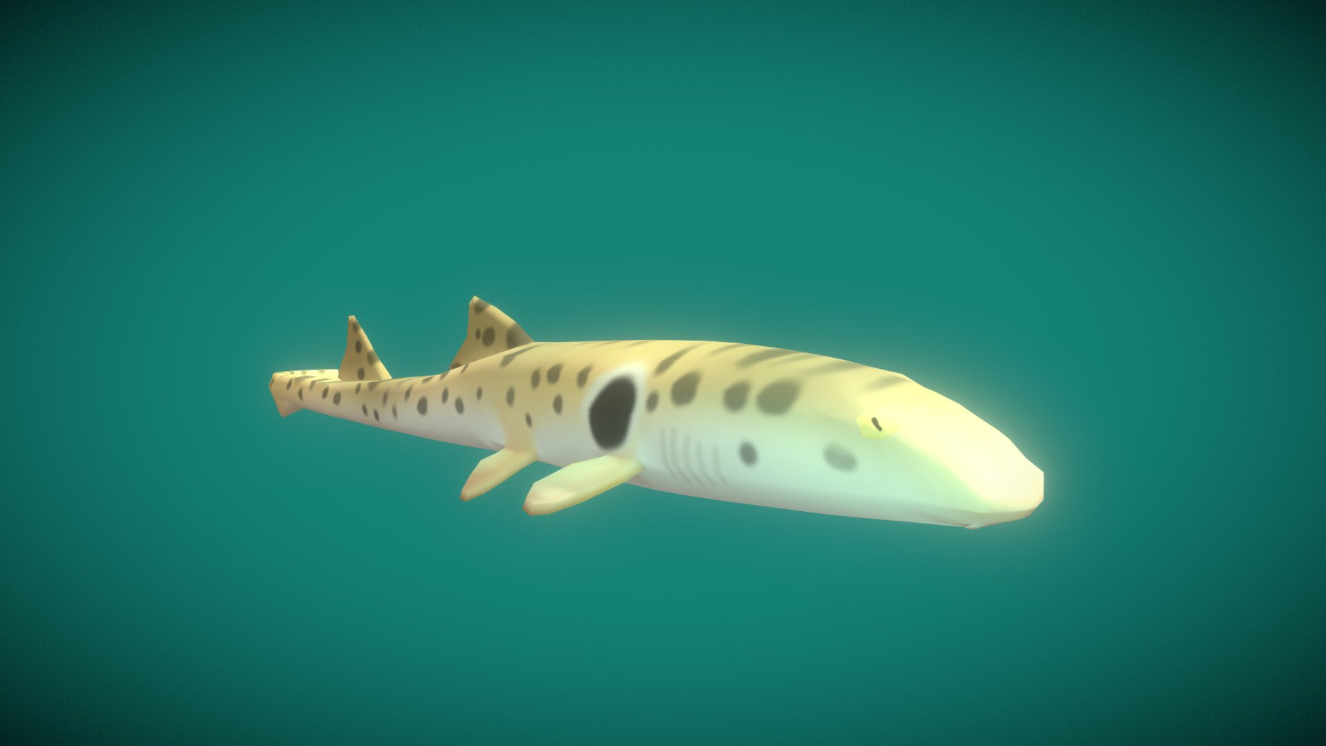 Epaulette Shark - 3D model by CatfishYAY [8797271] - Sketchfab