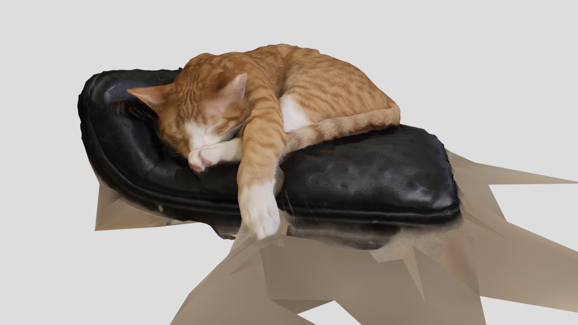 Cat - Download Free 3D model by Fyrokid [8799c35] - Sketchfab
