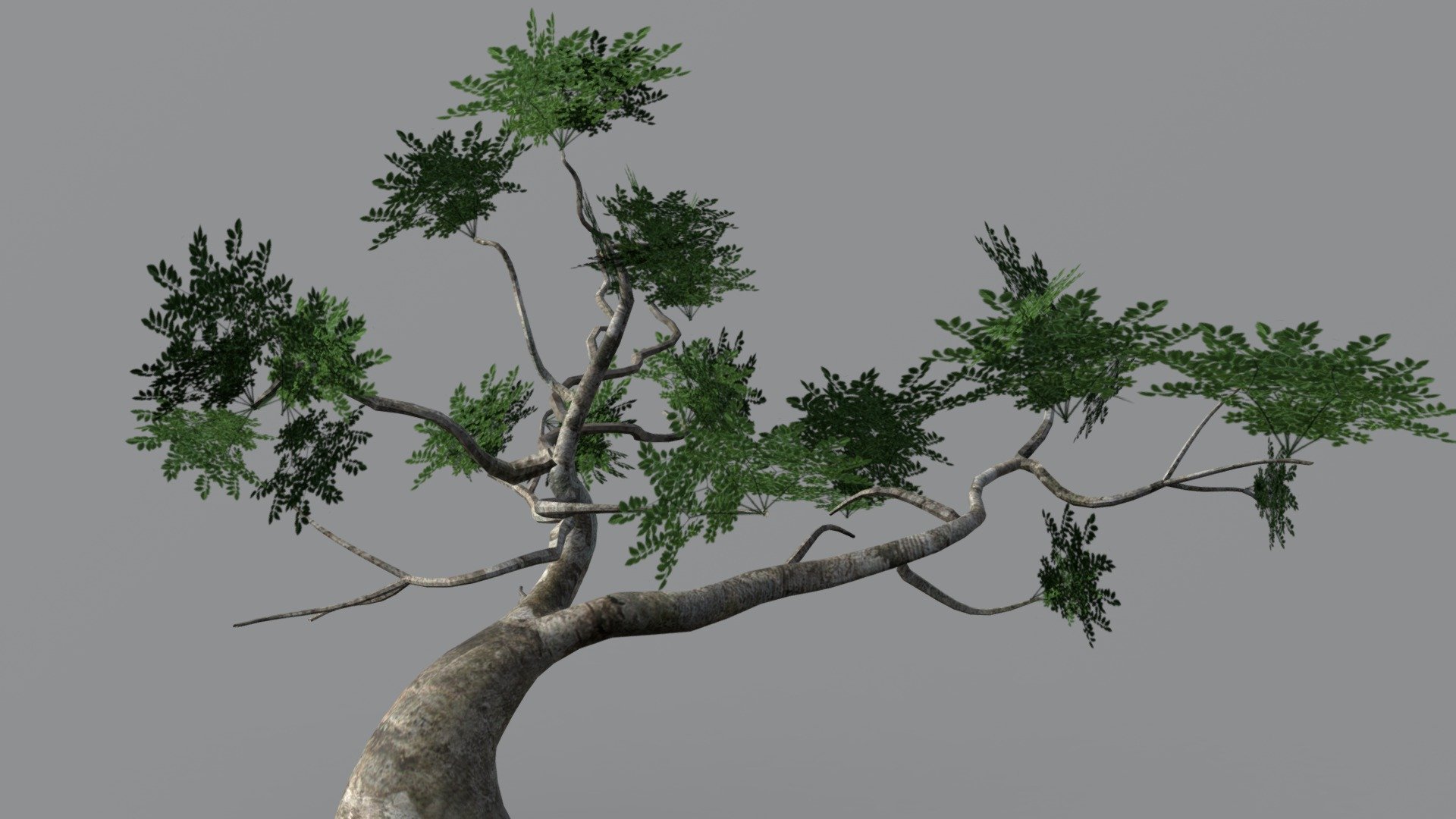 Sketch Fab Tree for Assignment 3 - 3D model by migowu [879d62a] - Sketchfab