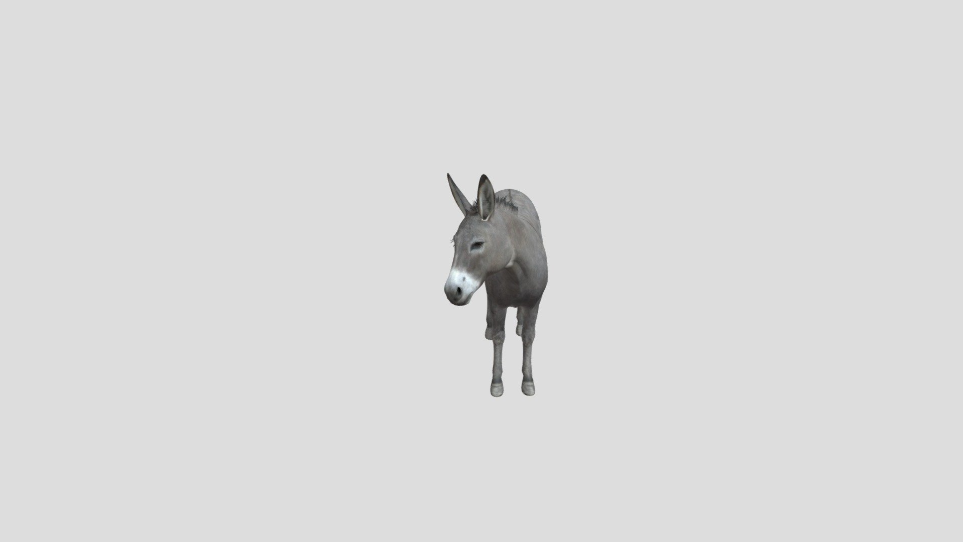 Donkey - Buy Royalty Free 3D model by Phil3D (@philosophie) [879dc0a ...