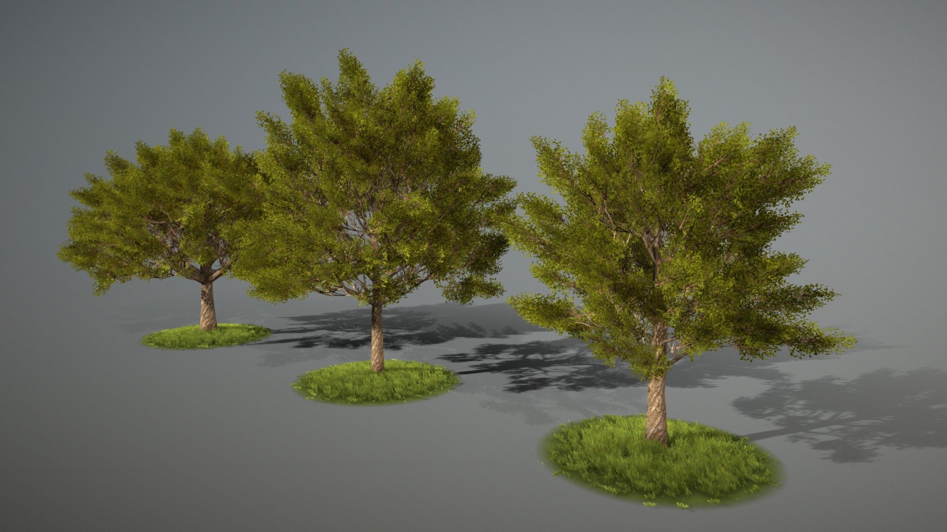 Tree wind system - Download Free 3D model by Node_λrt (@Node_Art) [87a2022] - Sketchfab