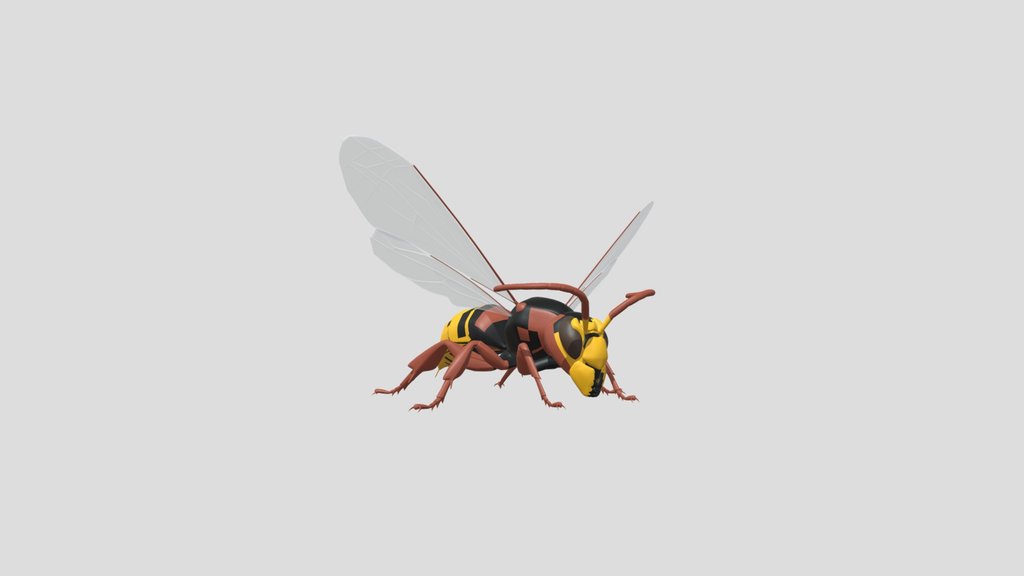 Bee Wasp Hornet - A 3D model collection by crispr_boi (@kalibala ...