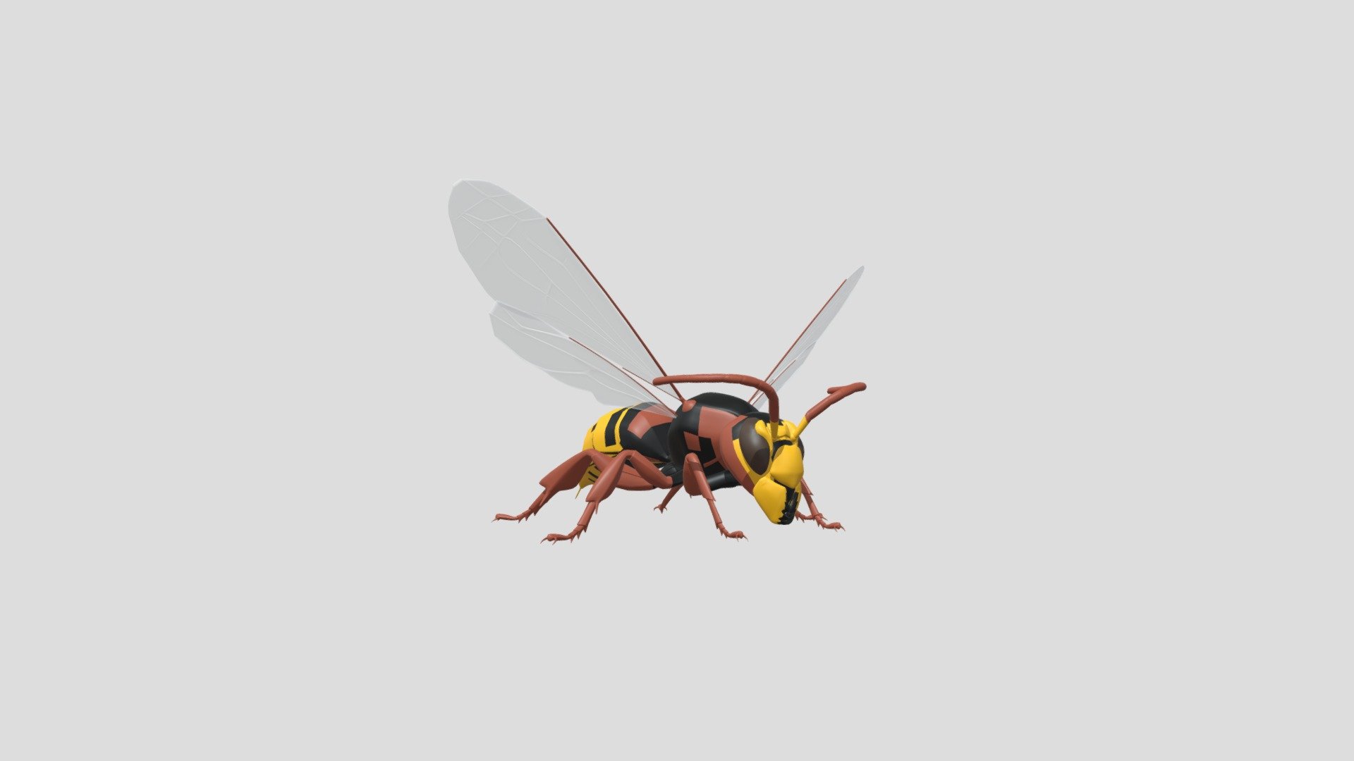 European hornet - Download Free 3D model by Alain Sorazu (@alainsorazu ...