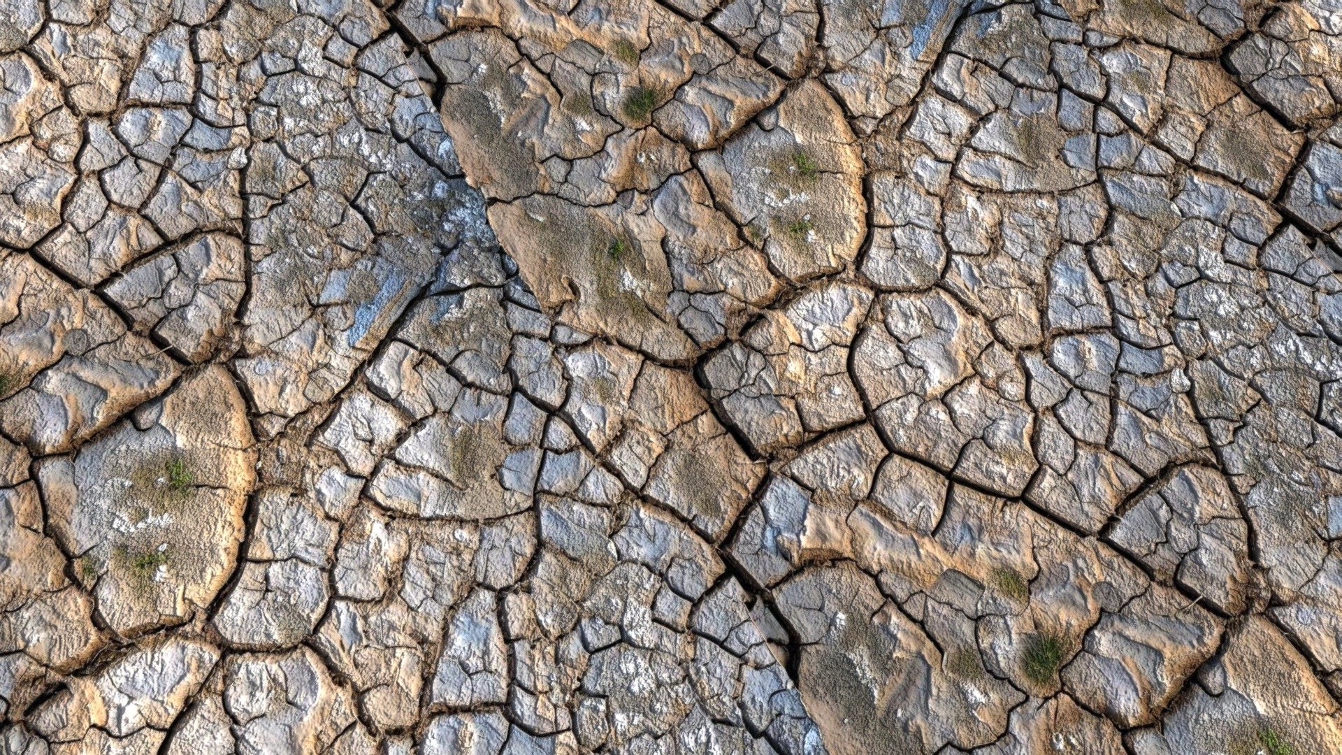 Light, dry, cracked clayey soil with plants - Download Free 3D model by ...