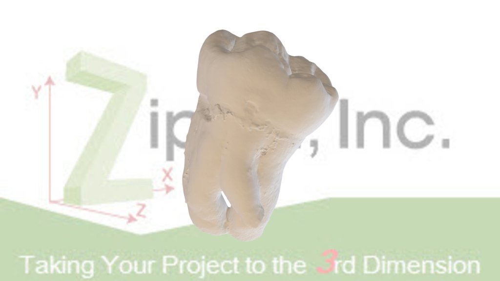 ZBI : 3D Scan : Tooth, wisdom - 3D model by zip-bit [87a66f0] - Sketchfab