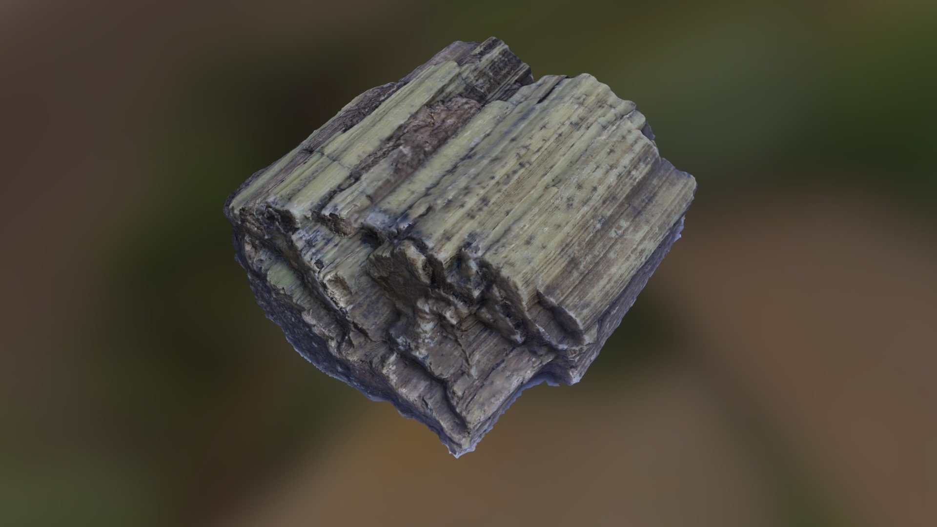 Serpentine - Photogrammetry model - Download Free 3D model by ...