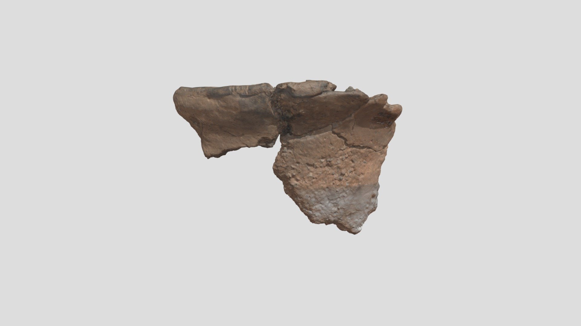 cHRISTIE sITE 17 - 3D model by Western Social Science (@edwardeastaugh ...
