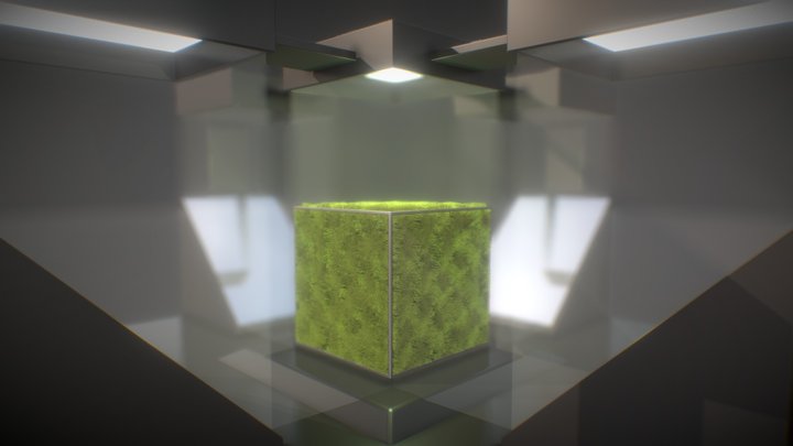 Grass-cube 3D models - Sketchfab