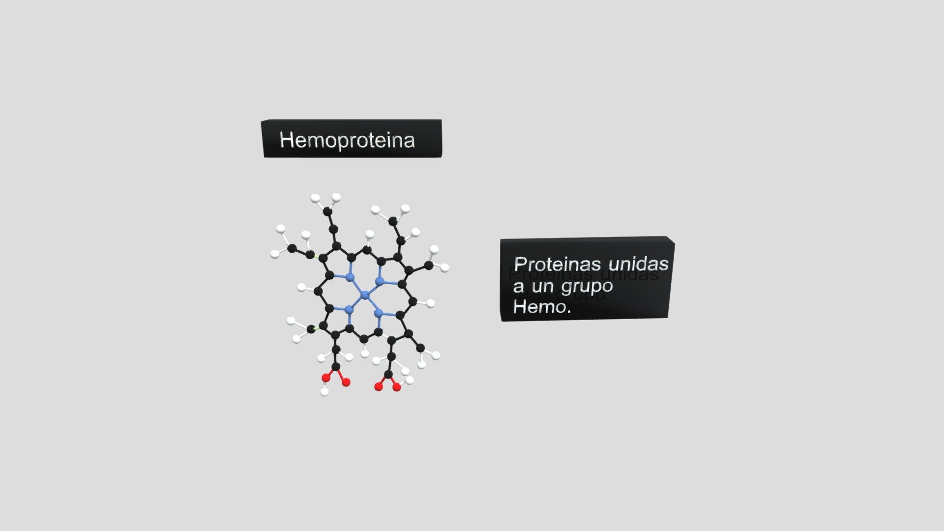 Hemoproteínas - 3D model by roirevh [87bc68b] - Sketchfab