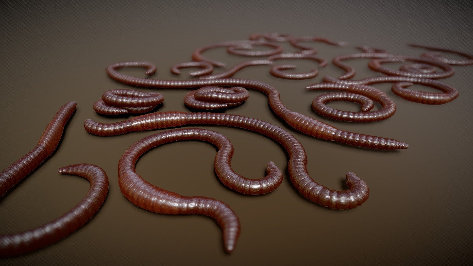 Earthworms Rigged PBR Low-poly - Buy Royalty Free 3D model by Ev_M ...