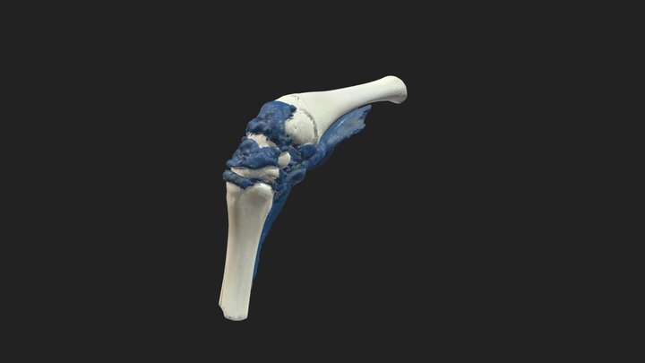 Spout 3D models - Sketchfab