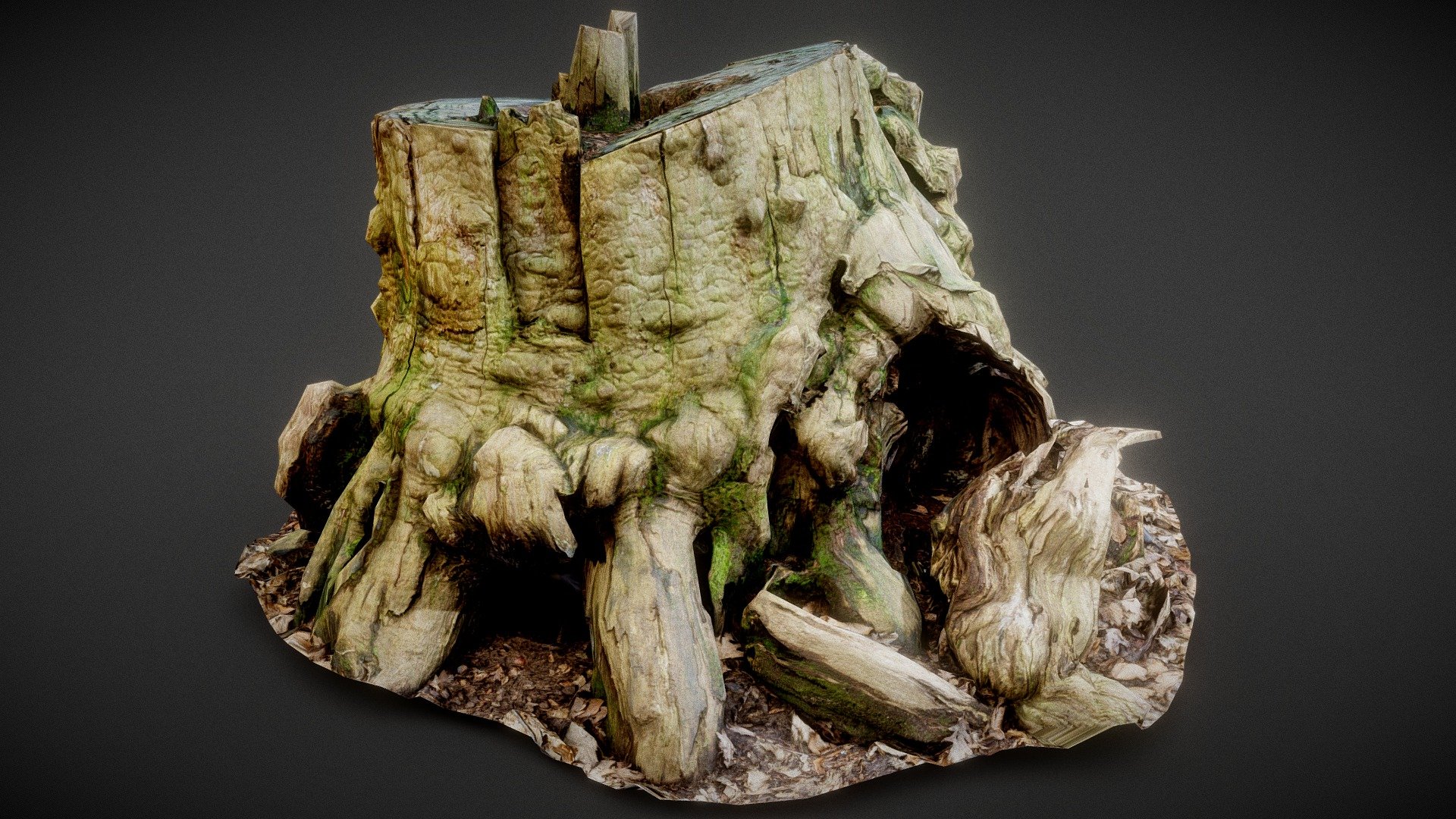 Roots 1 - Buy Royalty Free 3D model by Polygonal Miniatures (@Polygonal ...