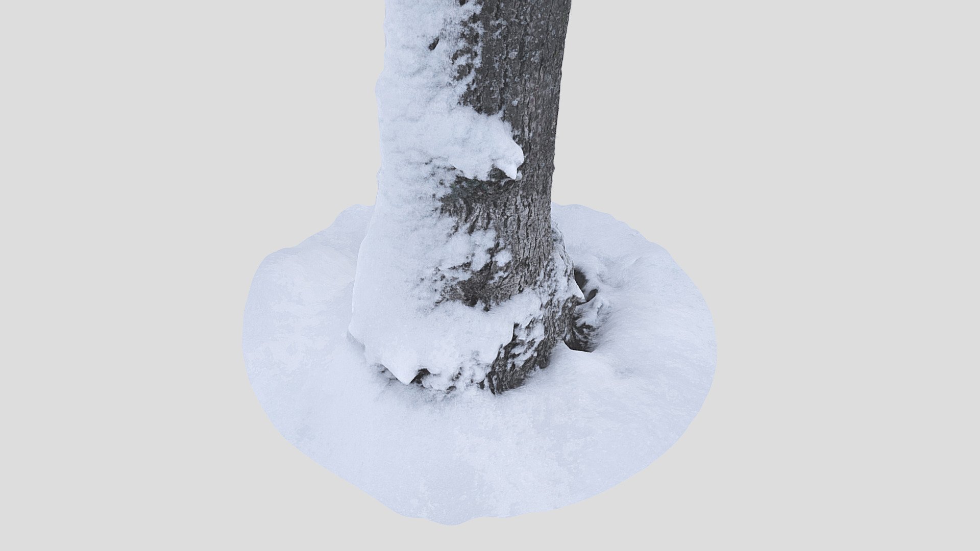 Tree winter scan 018 - Download Free 3D model by immerge [87dc0ab ...