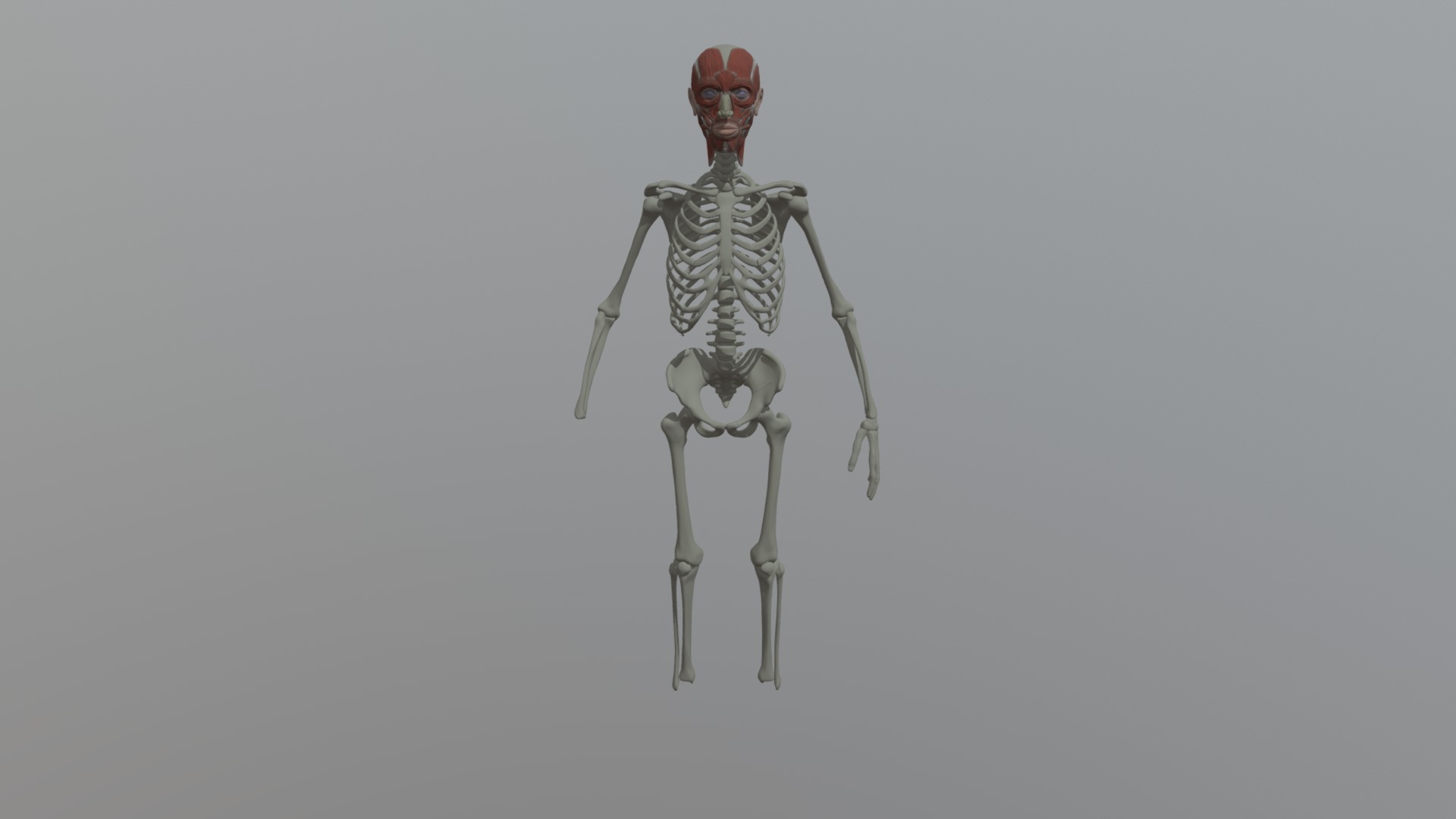 Human02 - 3D model by Arman.Abd.Hamid [87ec18f] - Sketchfab