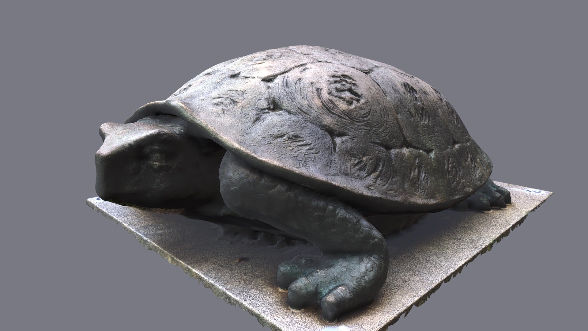 Tortuga 3C_modelo 3D_web - 3D model by ilg_2023 [87fc864] - Sketchfab