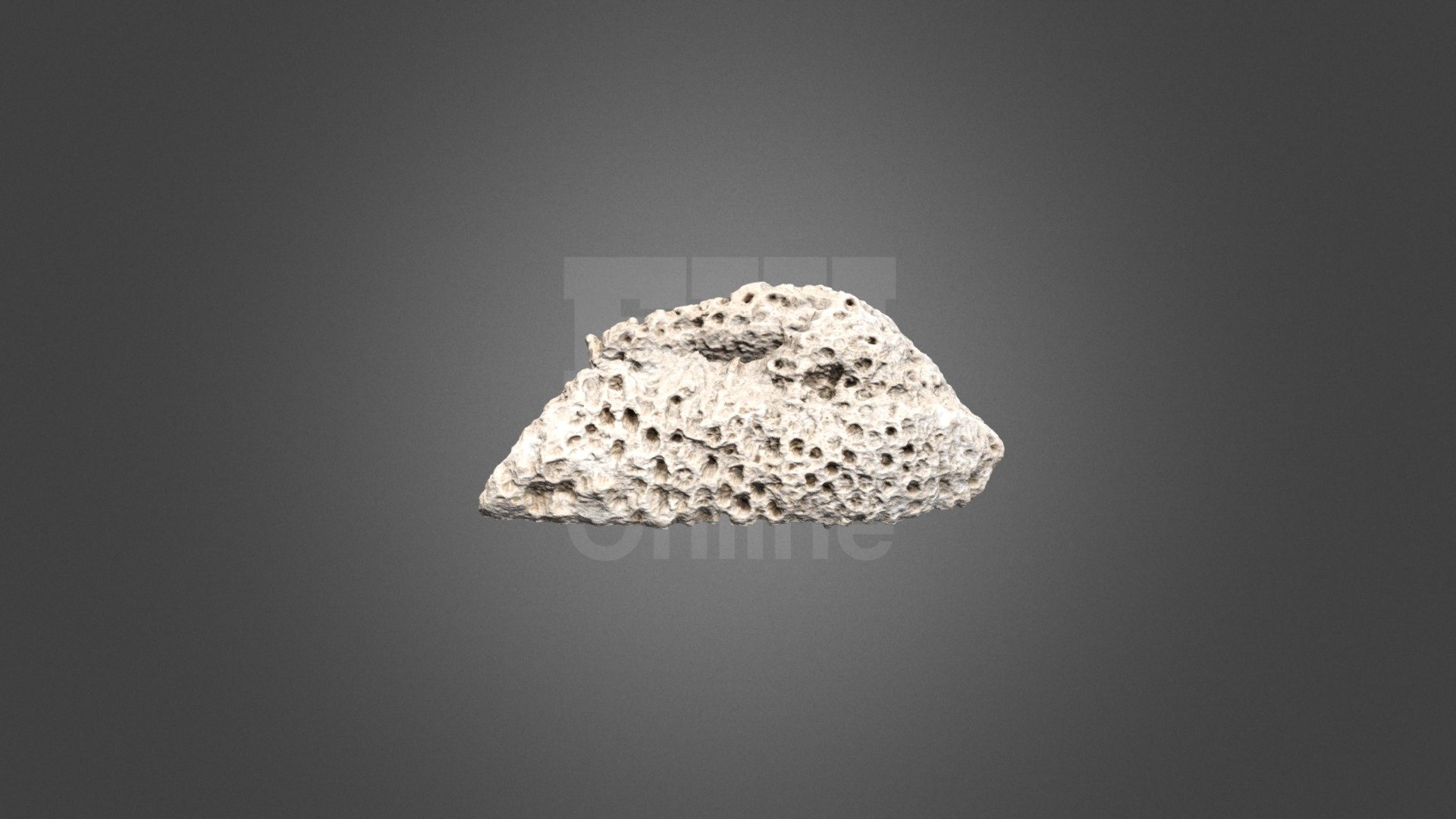 Coralline Limestone - 3D model by FIUonline [87ff8cc] - Sketchfab