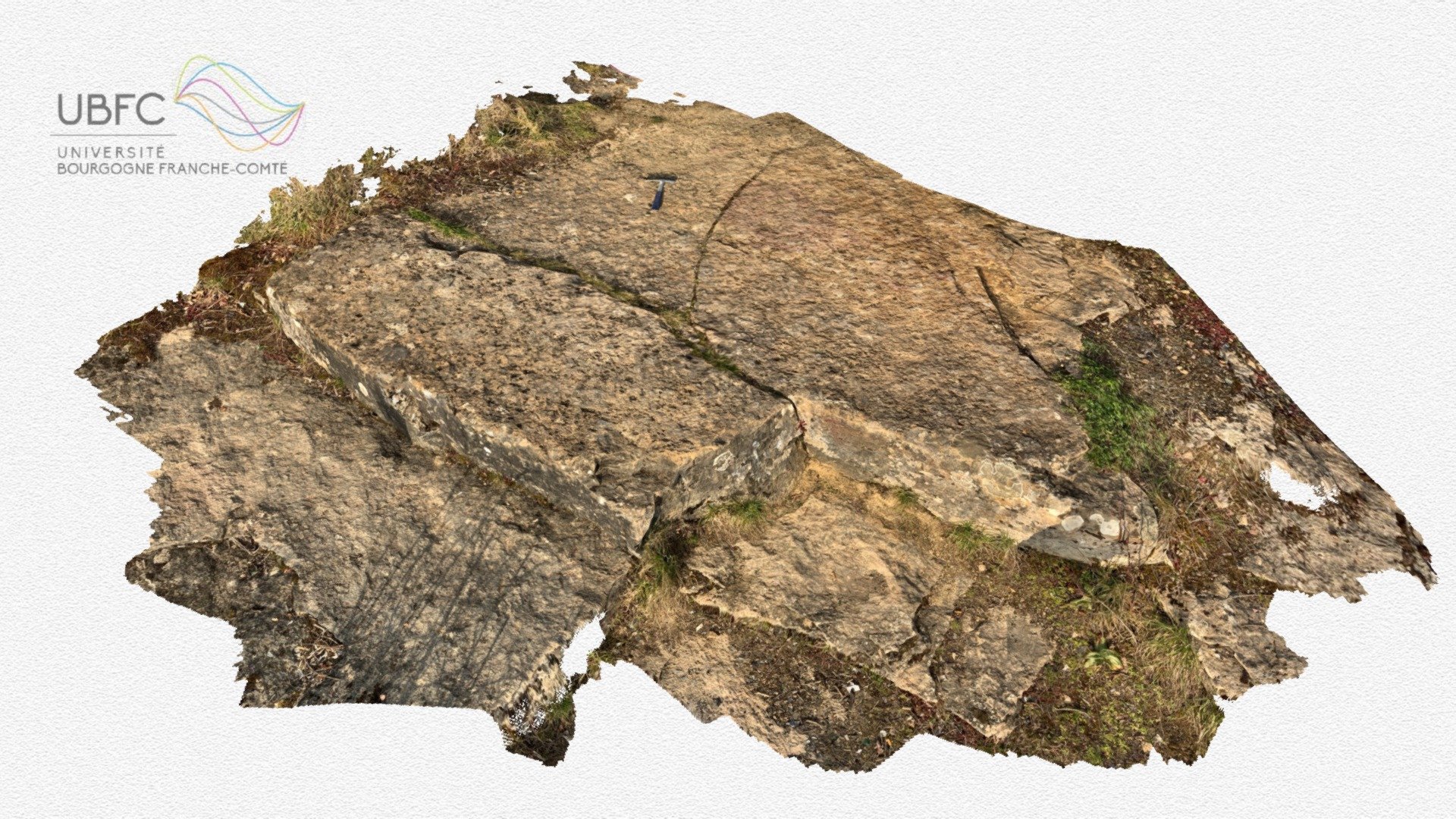 hardground surface in limestone - 3D model by Buoncristiani JF ...