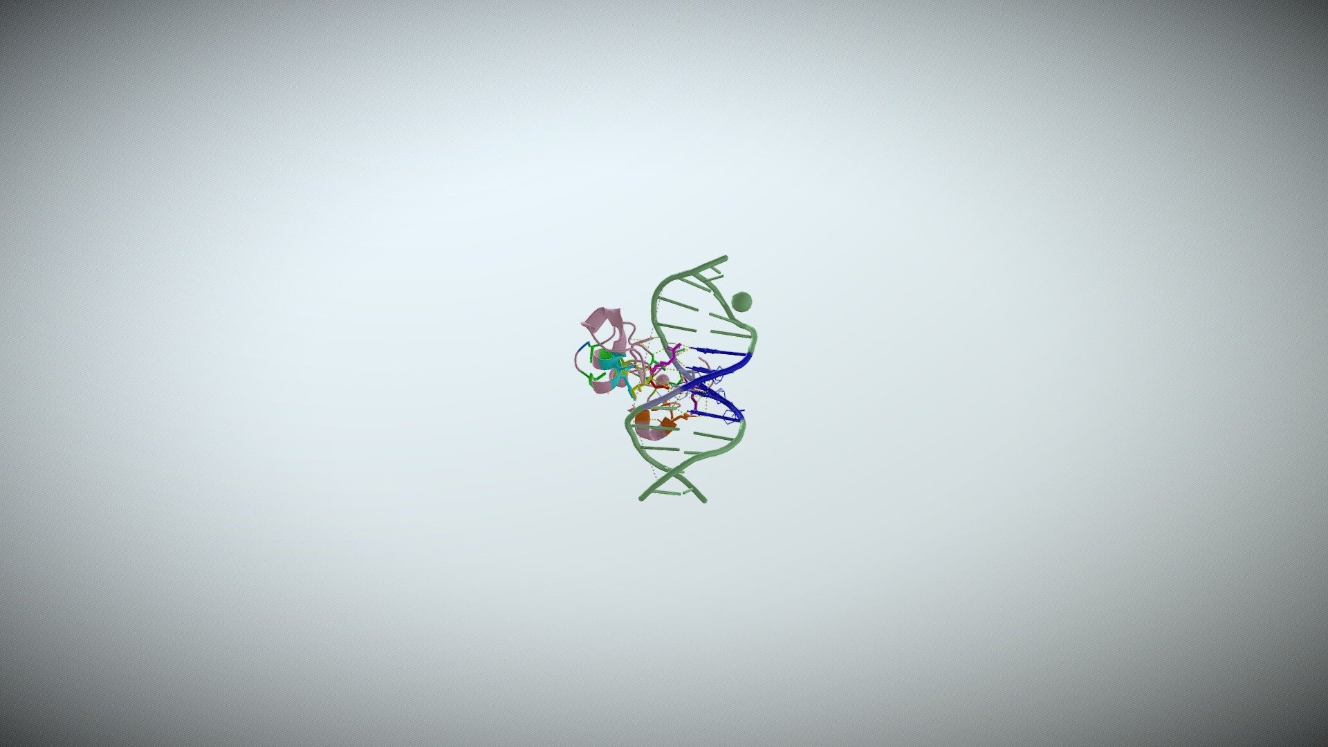 CPF1 (CXXC) + DNA - 3D model by Jen (@jensuh) [880af88] - Sketchfab