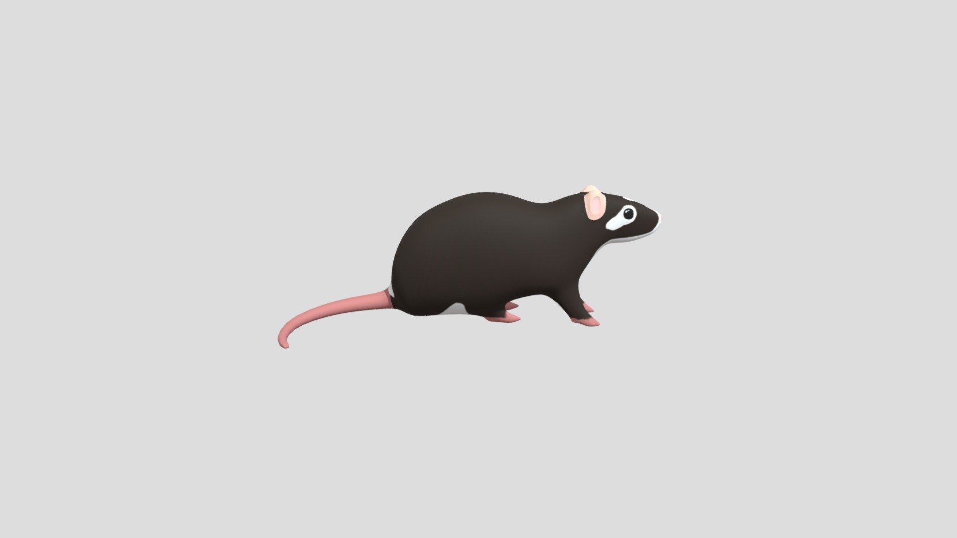 Rat - Download Free 3D model by Pinkie (@timur.prm) [880eb67] - Sketchfab