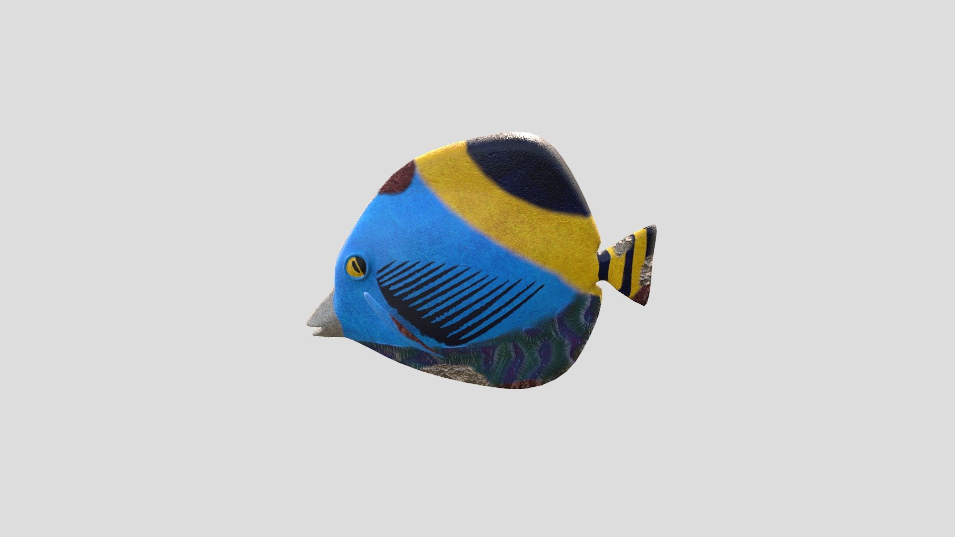 Injured Fish - Download Free 3D model by aldenchappell [8818965 ...