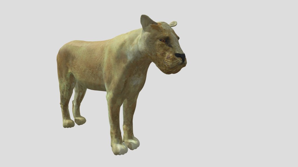 Wildlife - A 3D model collection by Anthony.Mitchell - Sketchfab