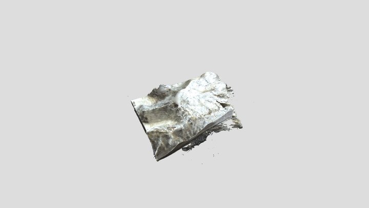 Feb 3D models - Sketchfab