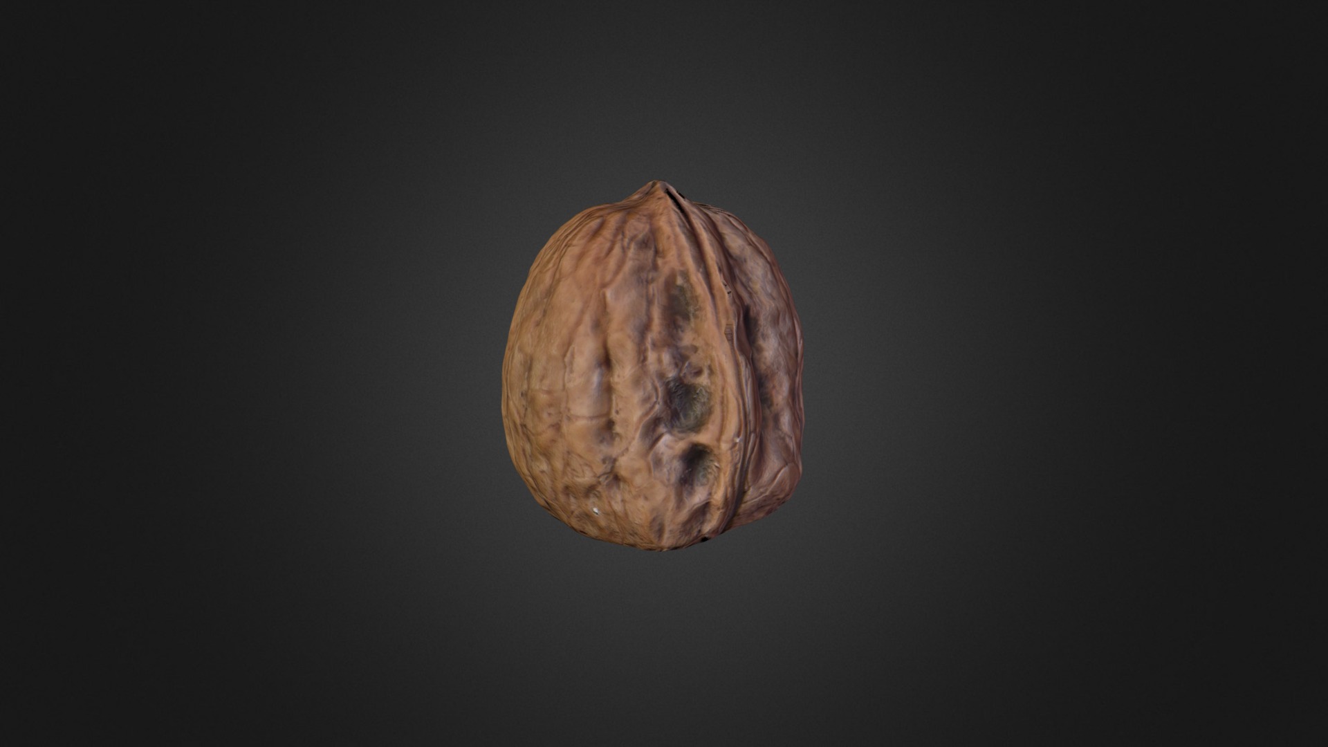 Walnut - 3D model by Thomas Flynn (@nebulousflynn) [88335ff] - Sketchfab