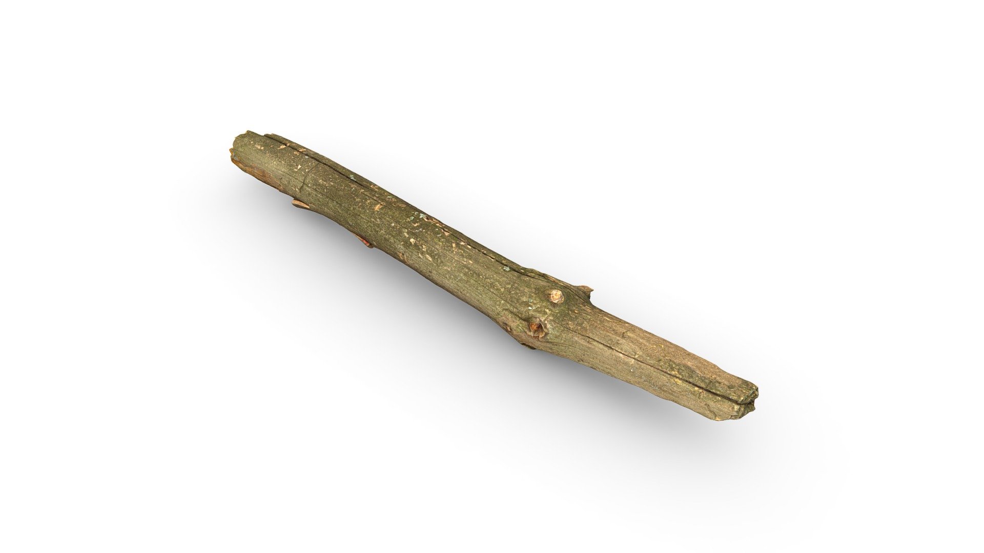Forest Stick - 3D model by RawCatalog.com (@rawcatalog) [8833d78 ...