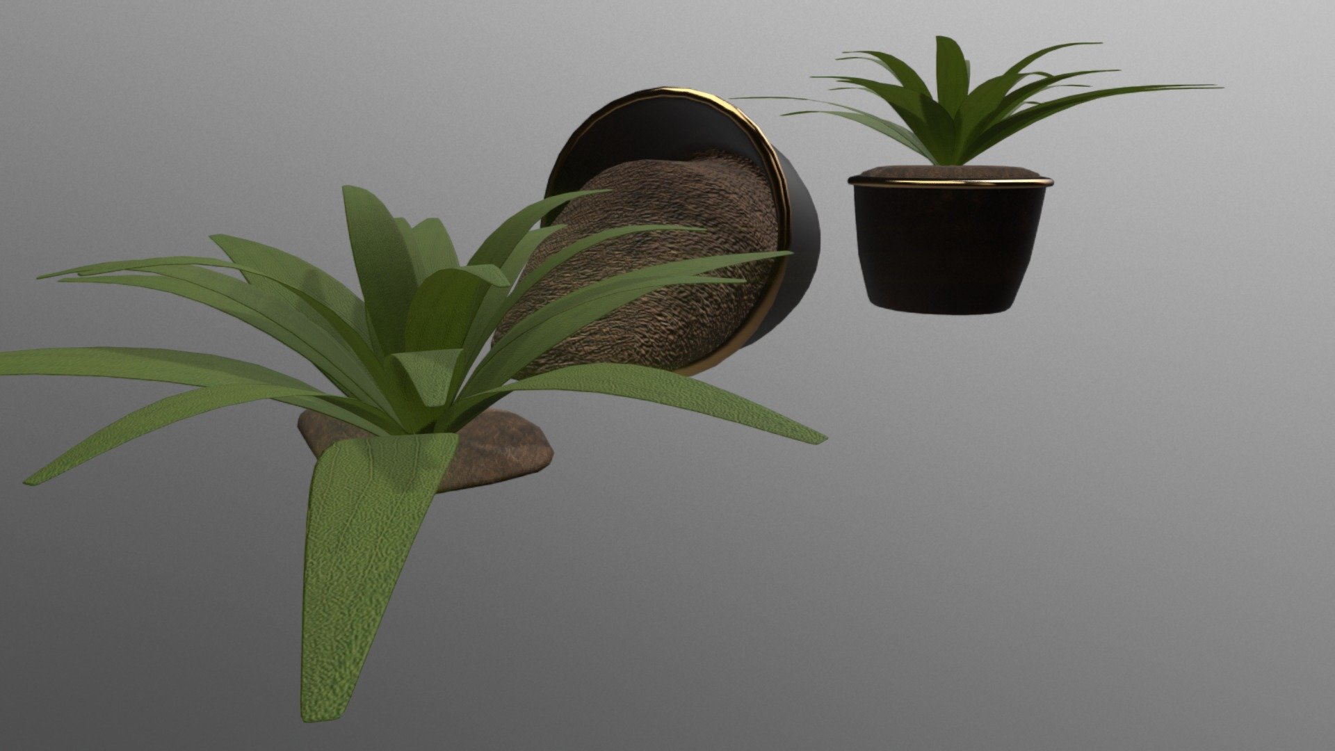 Pot Plant (Standing and Fallen) - Download Free 3D model by abdillaamy ...