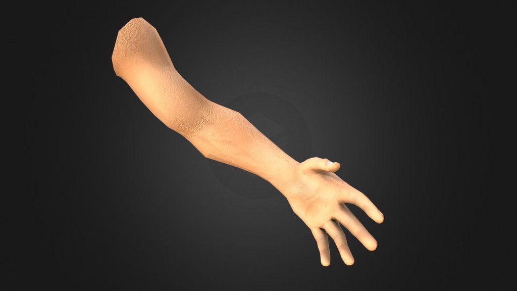 1st Person Arm - 3D model by Pio Vouilloz (@piovouilloz) [88343a8 ...