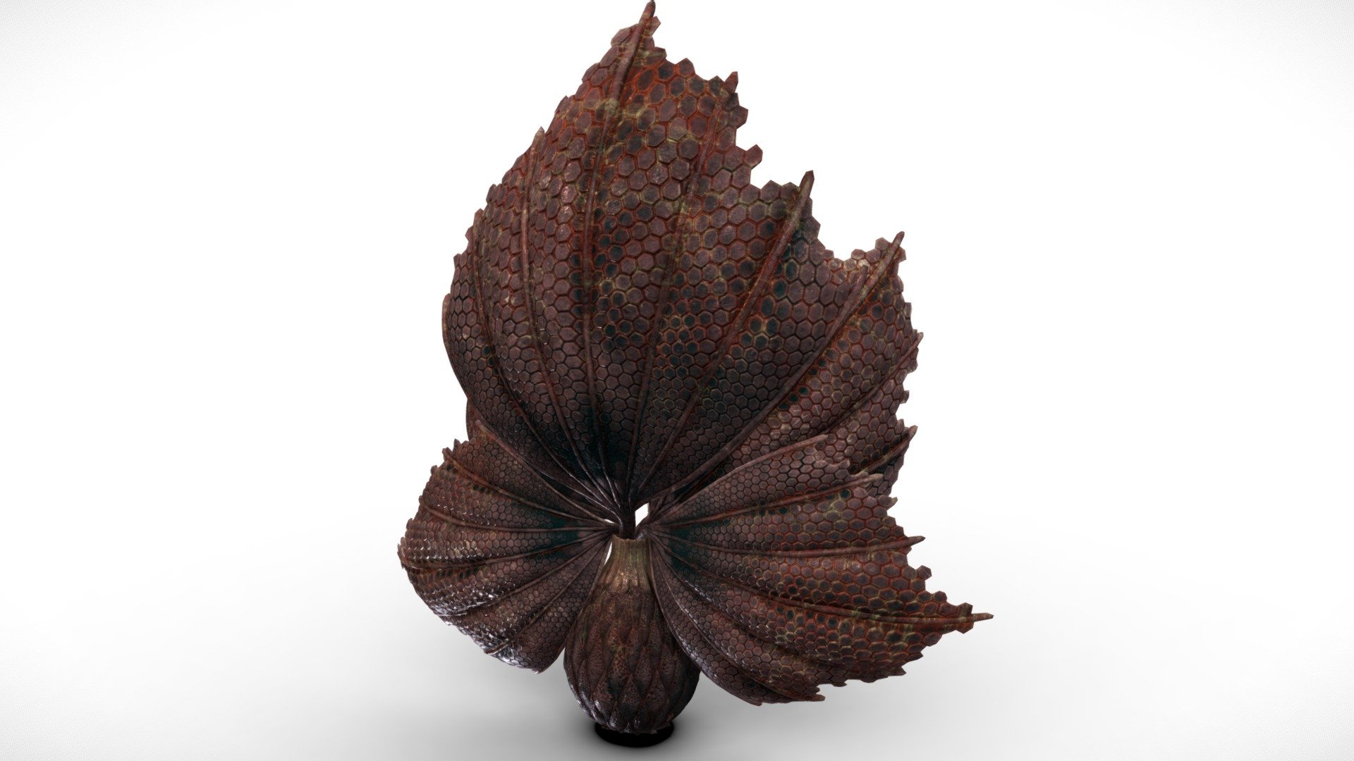 Alien Fantasy Plant - Frill Pine - Buy Royalty Free 3D model by ...