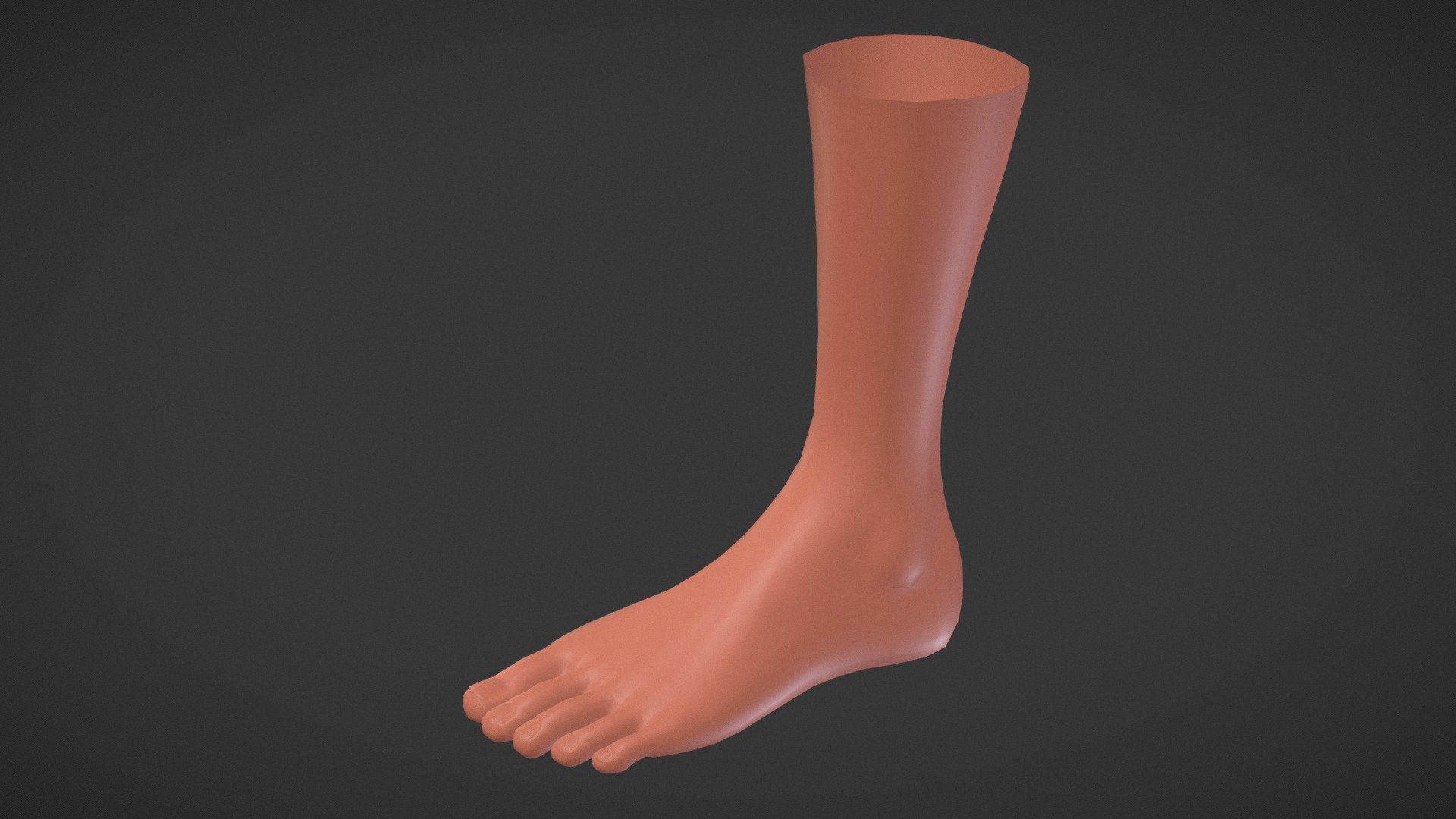 Female Foot 02 Basemesh - Download Free 3D model by Symeon3D [88483d3 ...