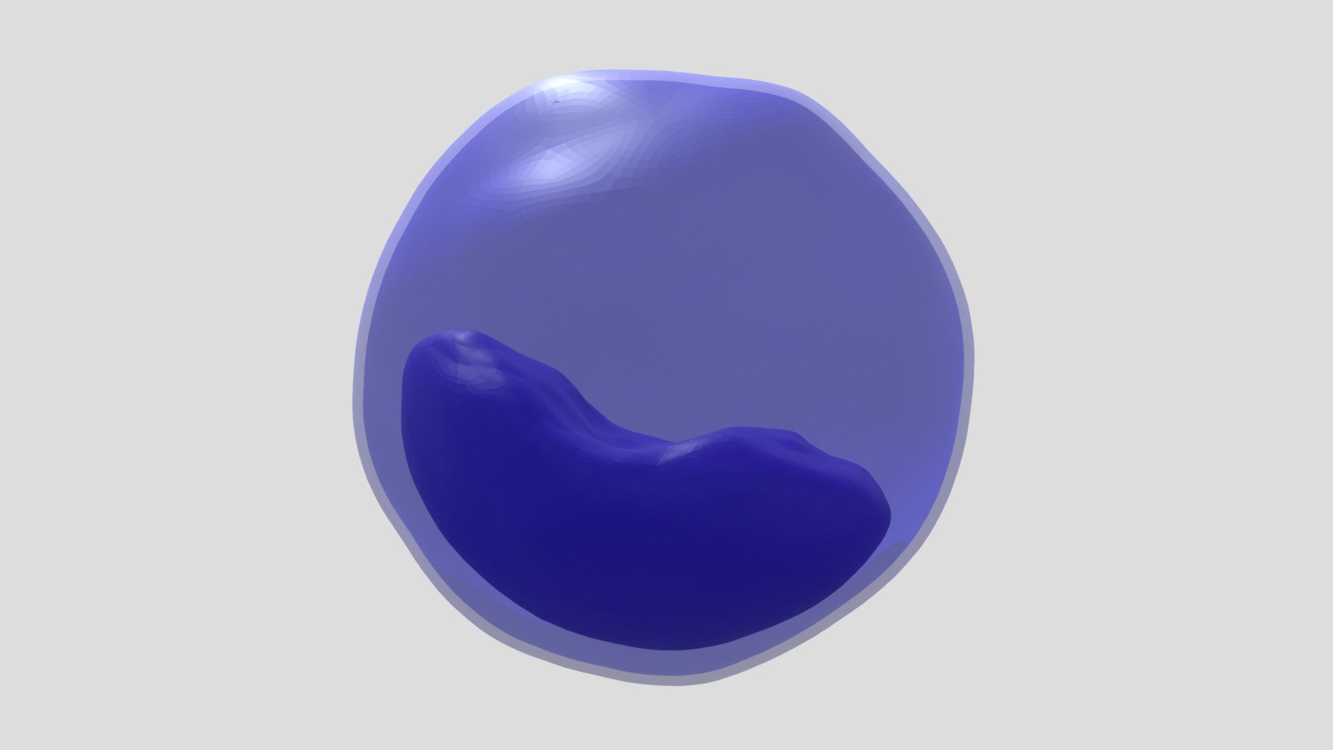 Monocyte - Download Free 3D model by Vikrama Raghuraman (@vikrama1998 ...