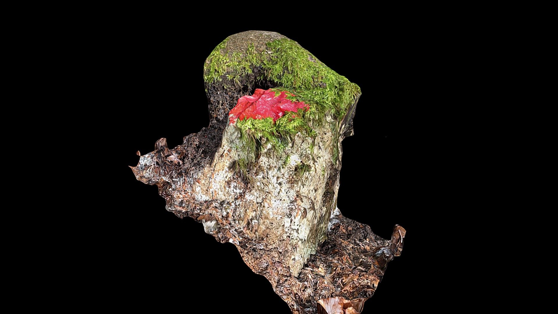 borNE.BEVA-GORG.vl - Download Free 3D model by clwacker [8858ddf ...