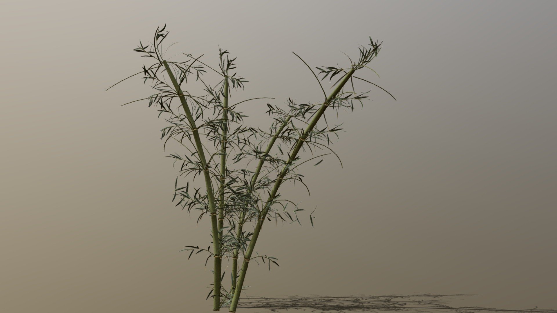 Bamboo - 3D model by maxbrehier [886a0b8] - Sketchfab