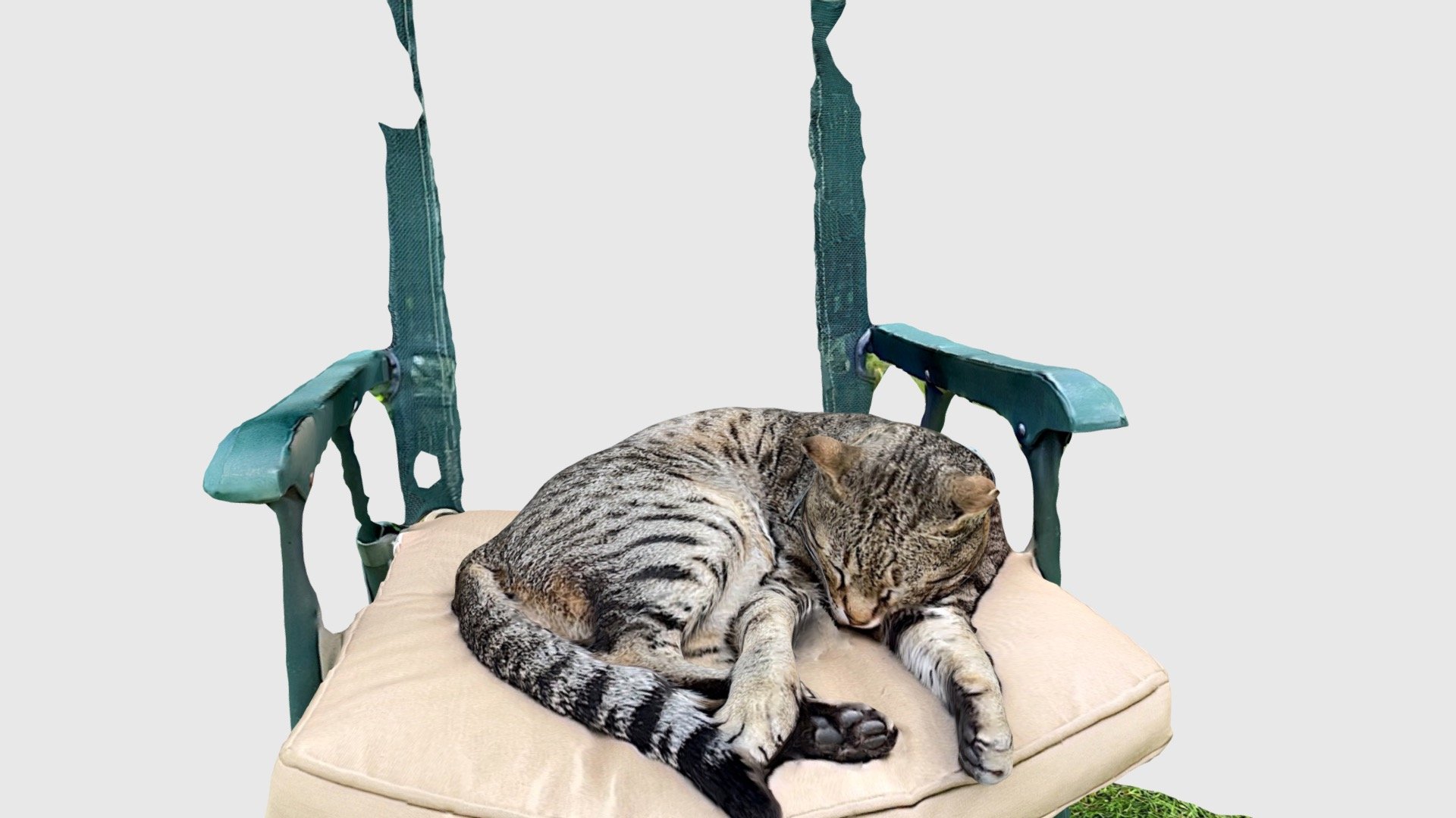 Sleeping Cat - Buy Royalty Free 3D model by Angell Surveys ...