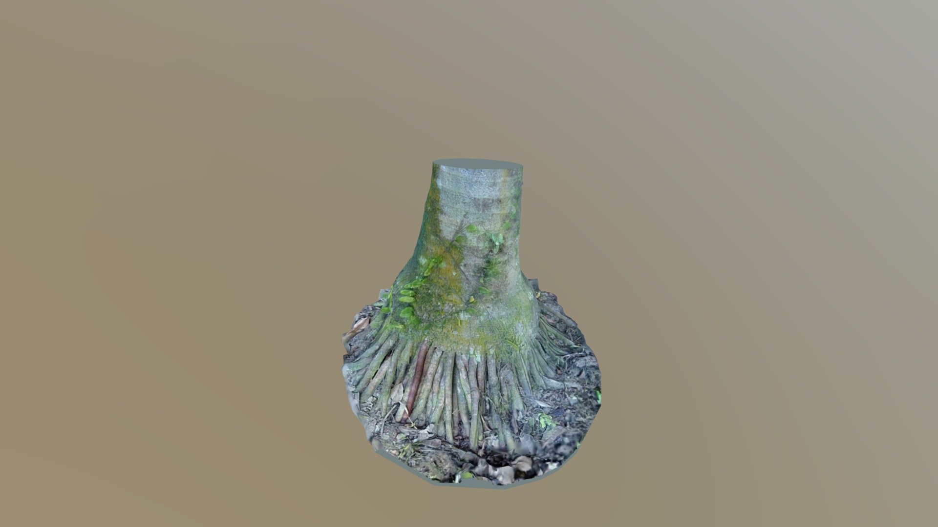 Pokok Pinang 3 - Download Free 3D model by solidussnake928 [887e25d ...