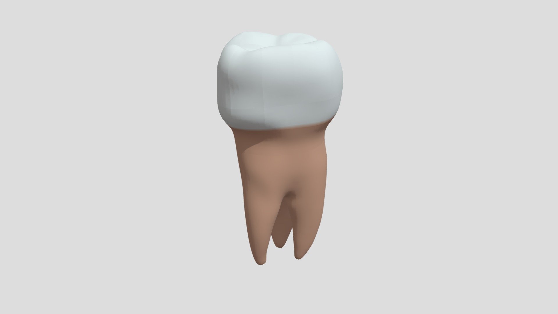 Low Poly Tooth N18 FREE to Download - Download Free 3D model by ...