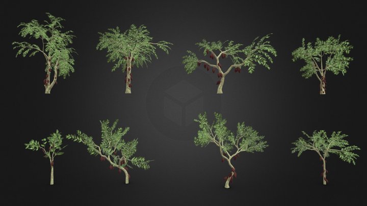 Cacao-tree 3D models - Sketchfab