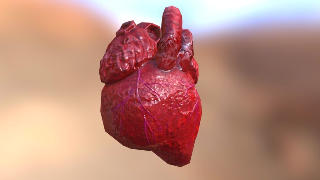 Heart - 3D model by blackcat571995 [888b478] - Sketchfab