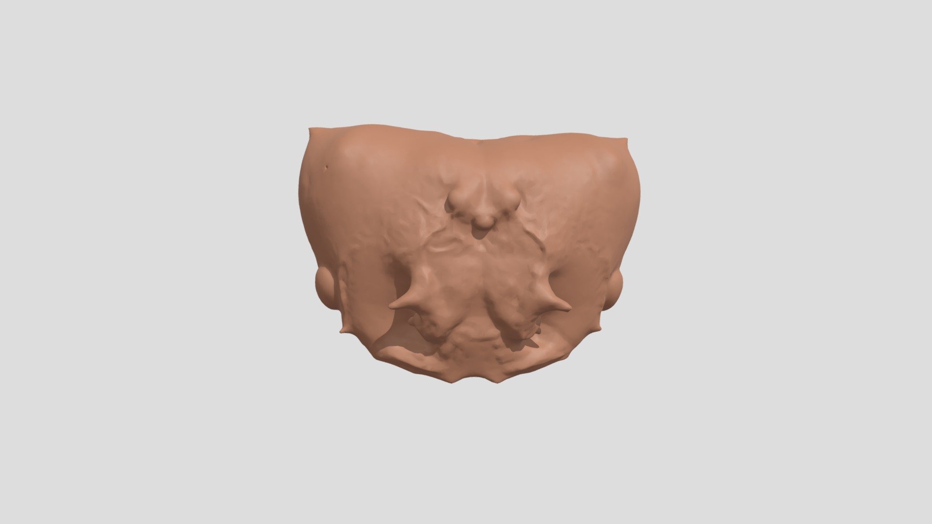 Queen Atta vollenweideri Head Capsule - Download Free 3D model by ...